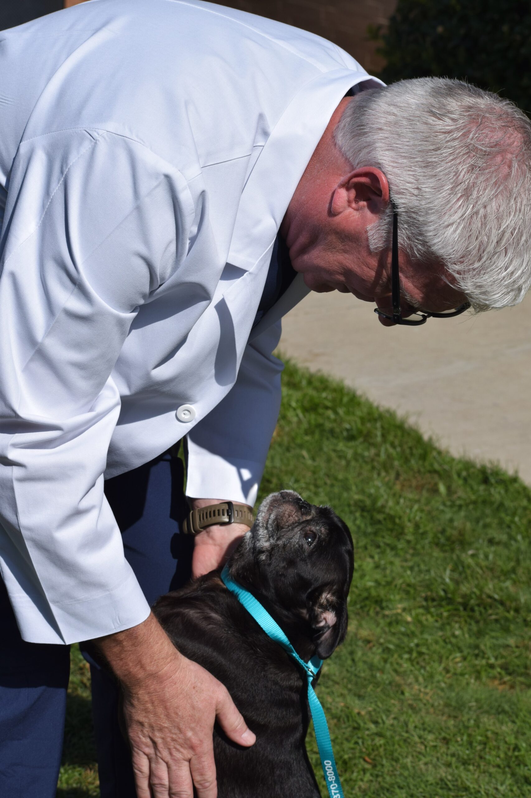 Specialists – Veterinary Specialists of North Texas